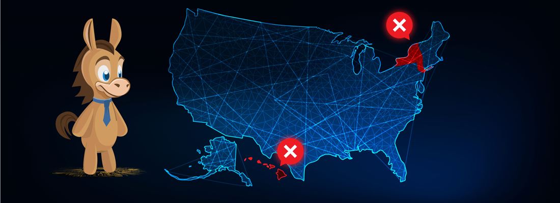 Paybis Review: Are Instant Transactions Worth the Price?