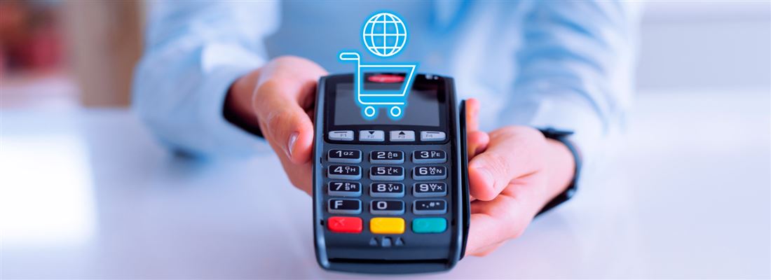 Payline Data Review: Pricing, Fees, and Alternatives