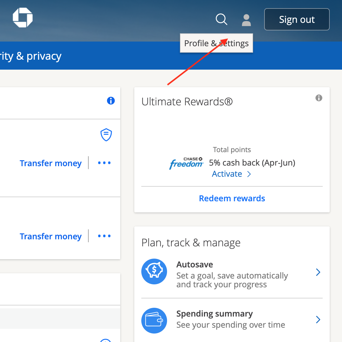 Chase Bank Account Balance Screenshot