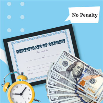 Best 13-Month Special CD Rates of December 2025