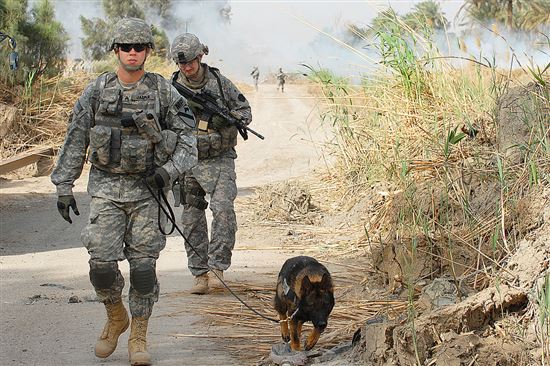 Why Dogs Fail as Home Security Systems