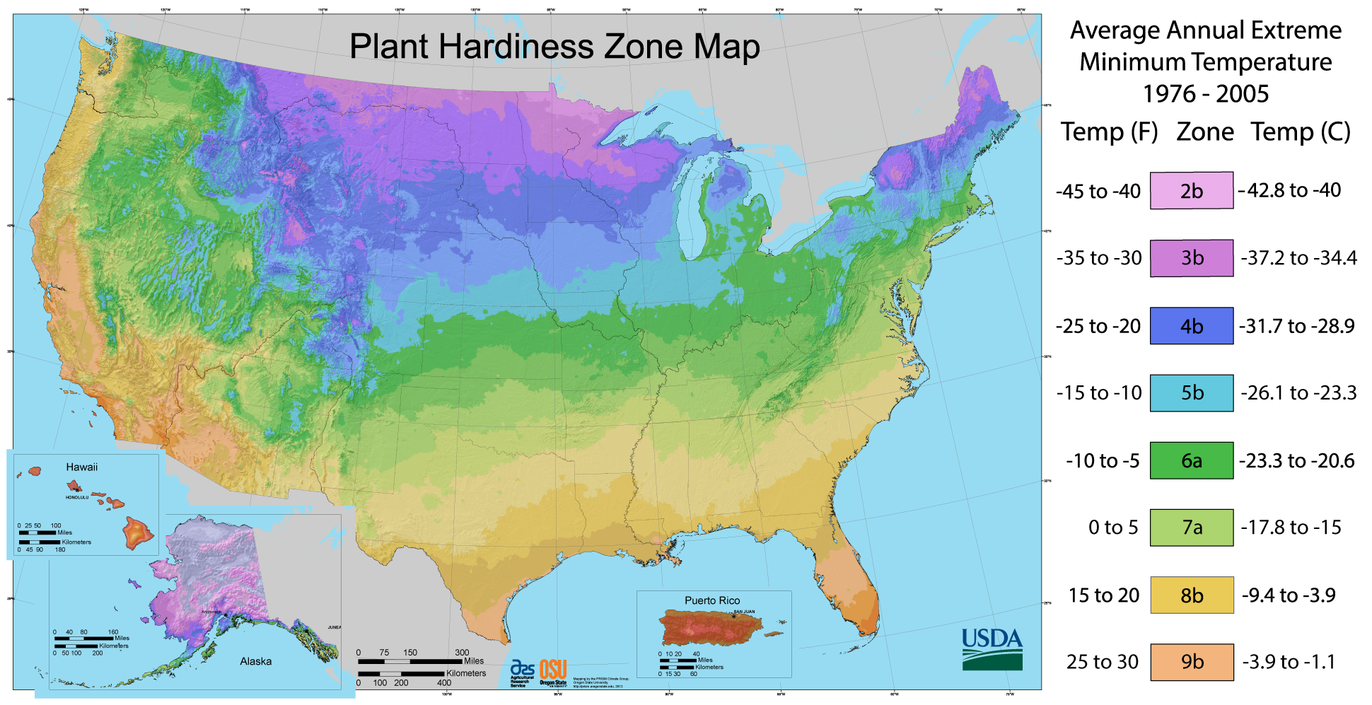 How to Start a Berry Farm